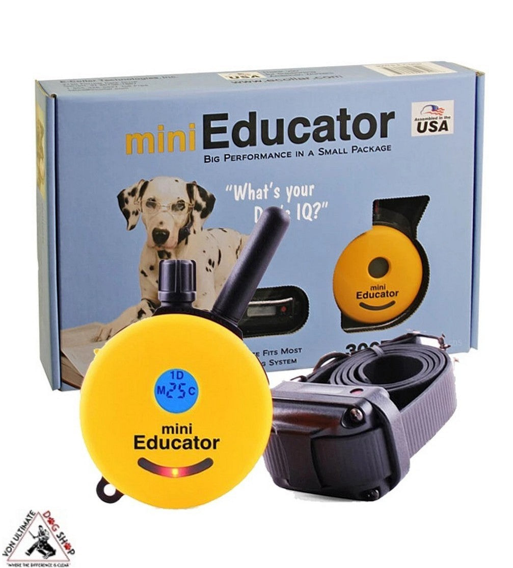 ET-300 Mini Educator