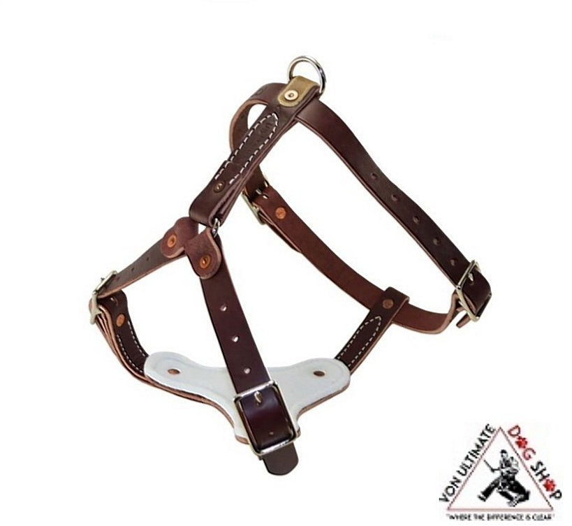 Ray Allen Latigo Leather Harness