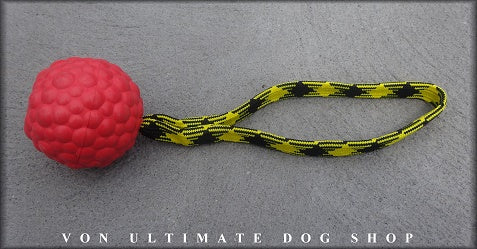 Raddog Magnetic Ball and Magnetic Holder